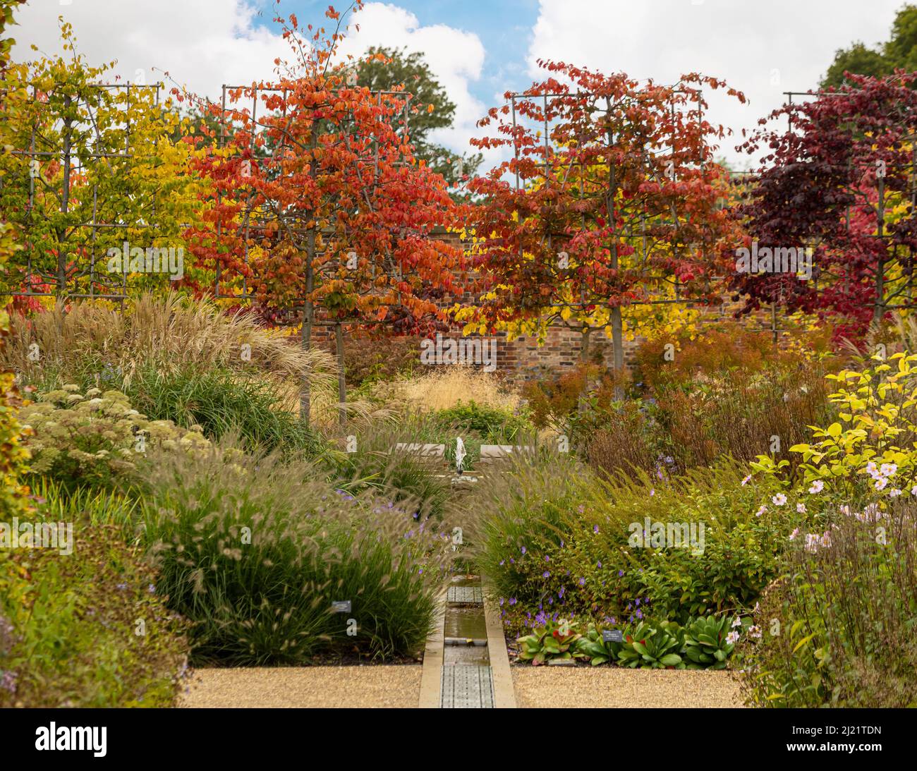 The paradise garden designed by tom stuart smith hi-res stock ...