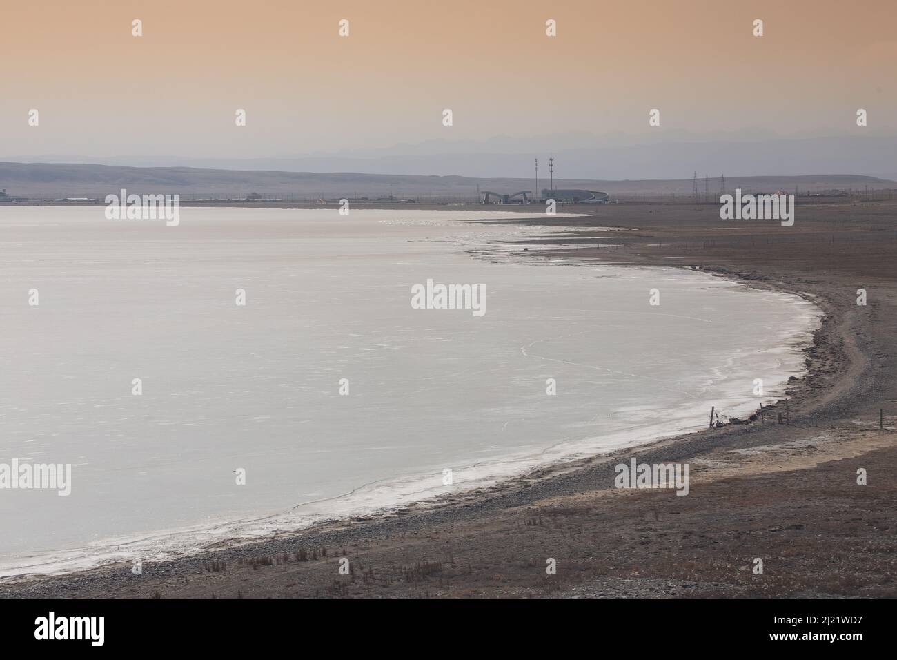 Qinghai wildlife hi-res stock photography and images - Alamy