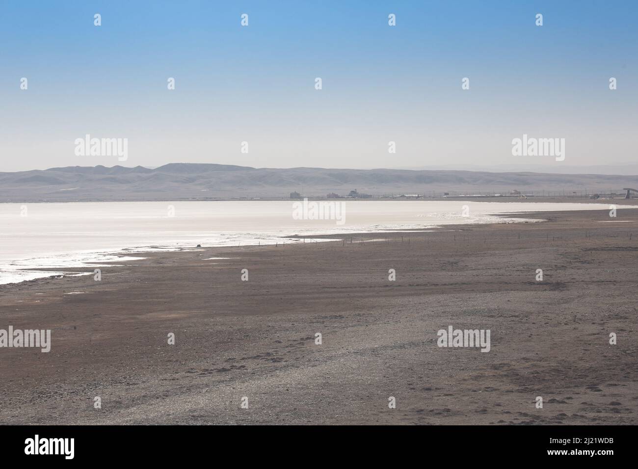 Qinghai wildlife hi-res stock photography and images - Alamy