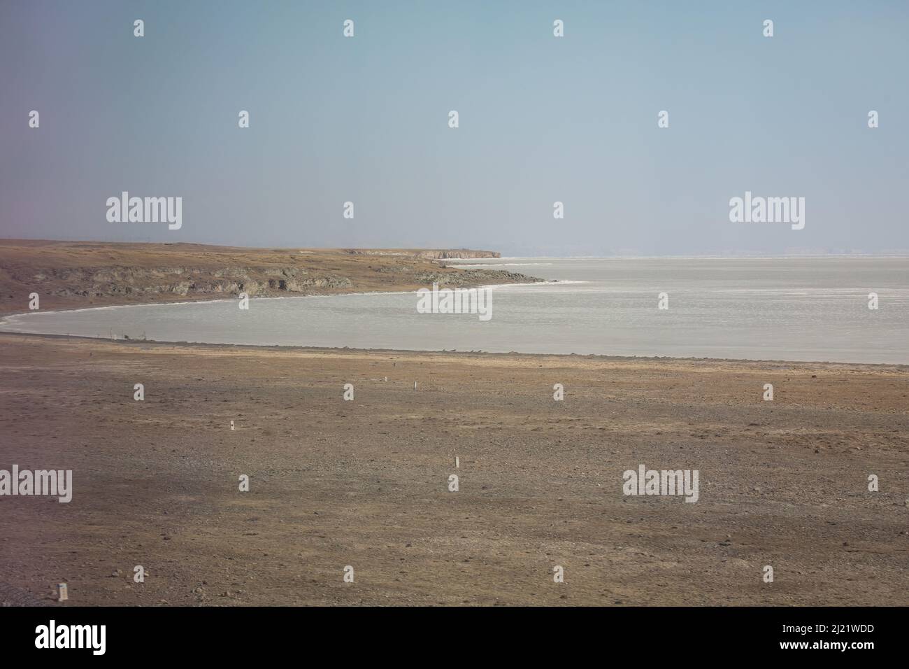 Qinghai wildlife hi-res stock photography and images - Alamy