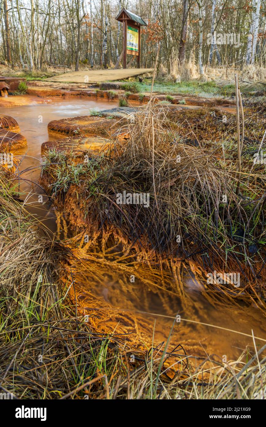 Nature reserve Soos, Western Bohemia, Czech Republic Stock Photo - Alamy