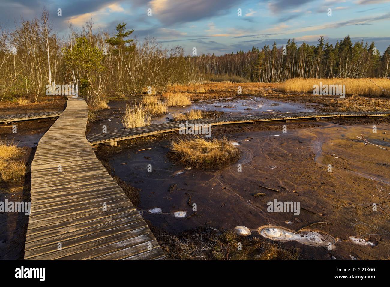 Nature reserve Soos, Western Bohemia, Czech Republic Stock Photo - Alamy