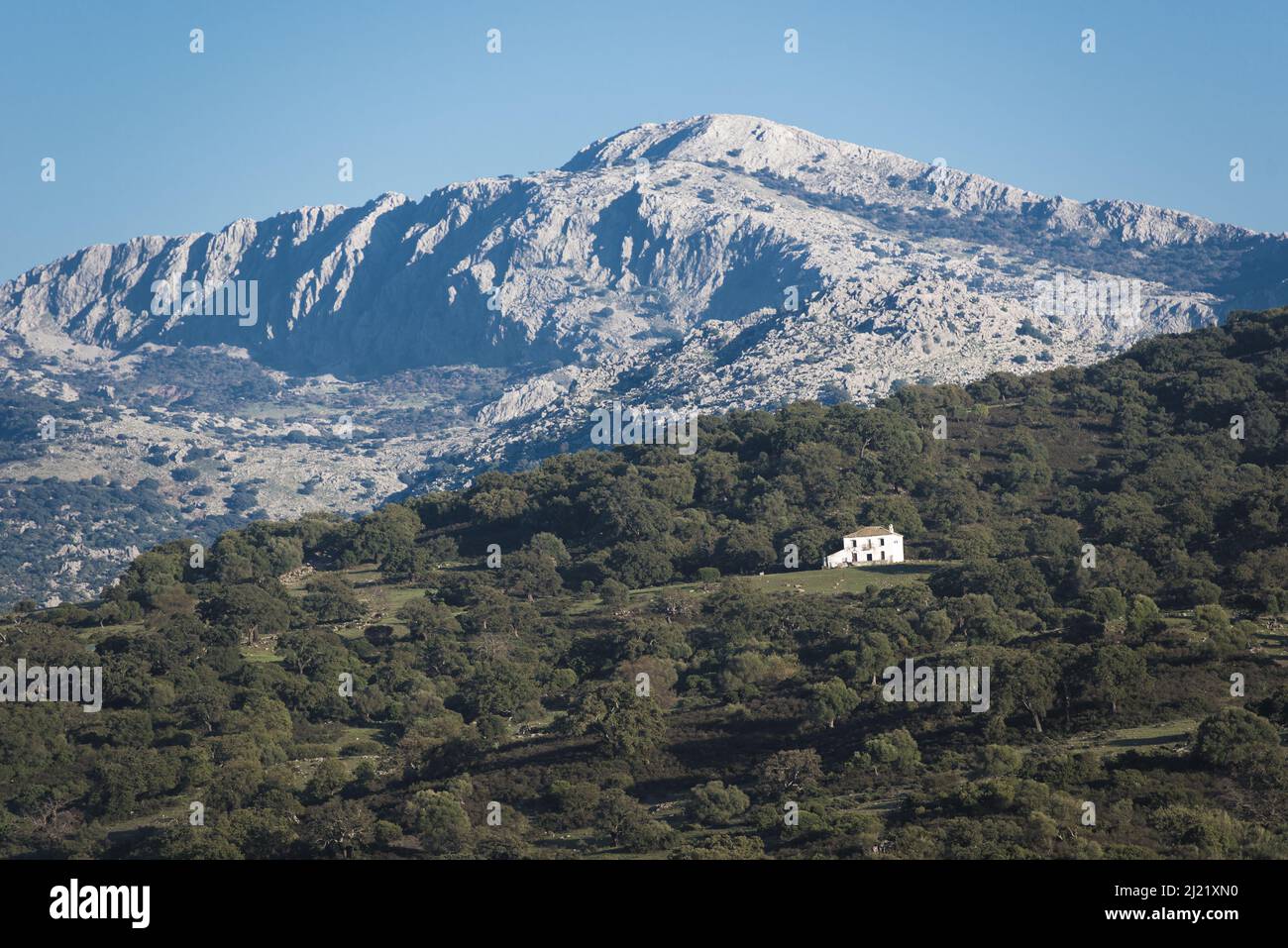 A House on the slope of a field in Cadiz with a mountain in the ...