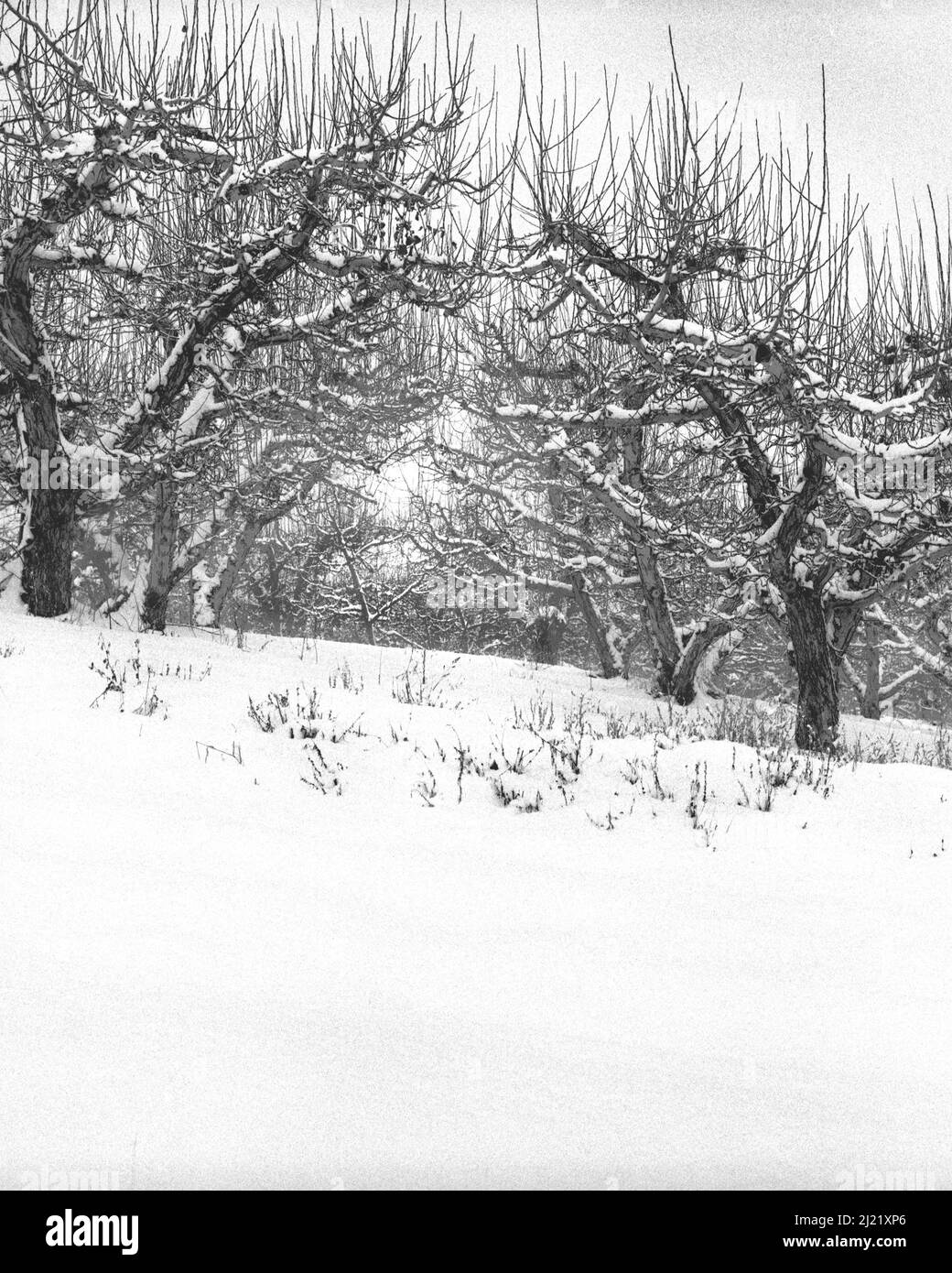 Dune of snow Black and White Stock Photos & Images - Alamy
