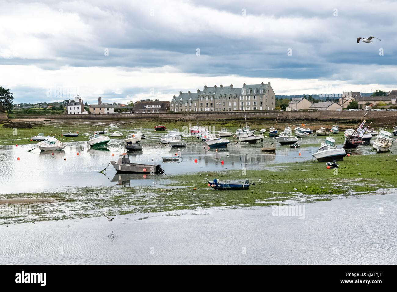 Barfleur in Normandy, the harbor, with traditional houses in background ...