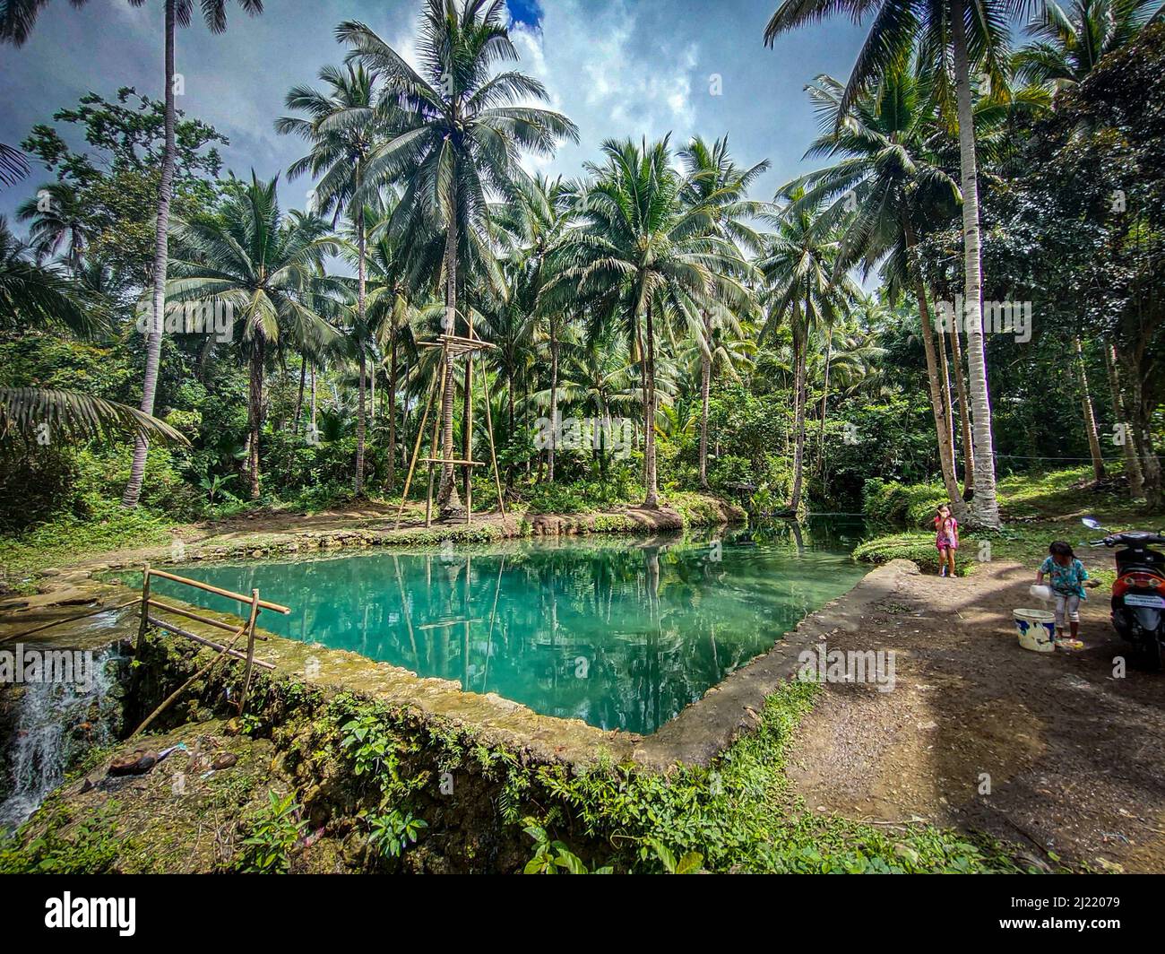 A beautiful view of the manmade pool surrounded by palm trees in Maasin ...