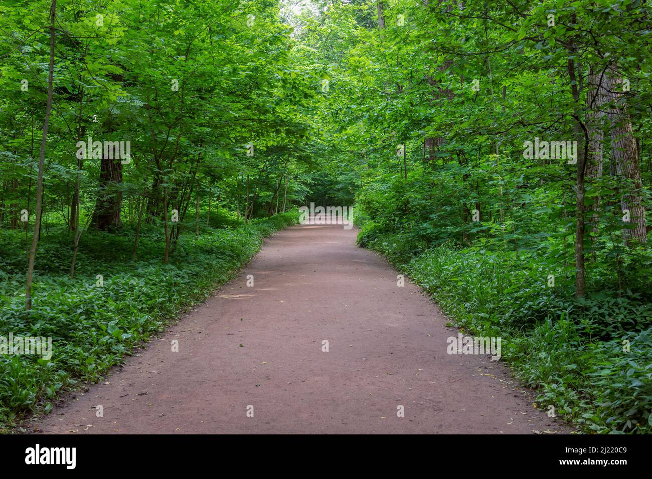 View of a straight path in the green park Stock Photo - Alamy