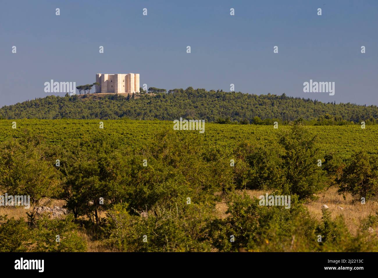 Castel del Monte, castle built in an octagonal shape by the Holy Roman ...