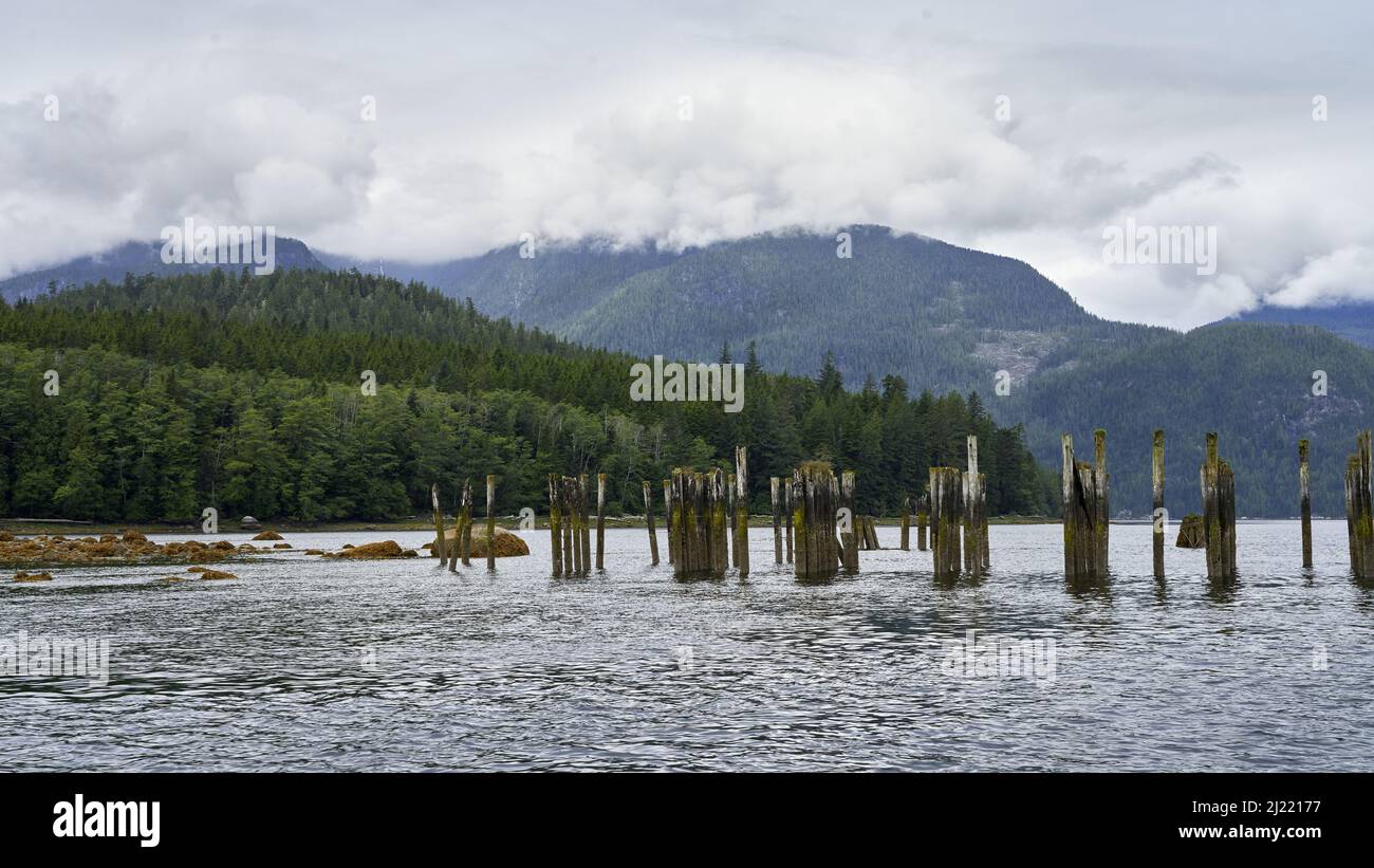 Logging camp canada hi-res stock photography and images - Alamy