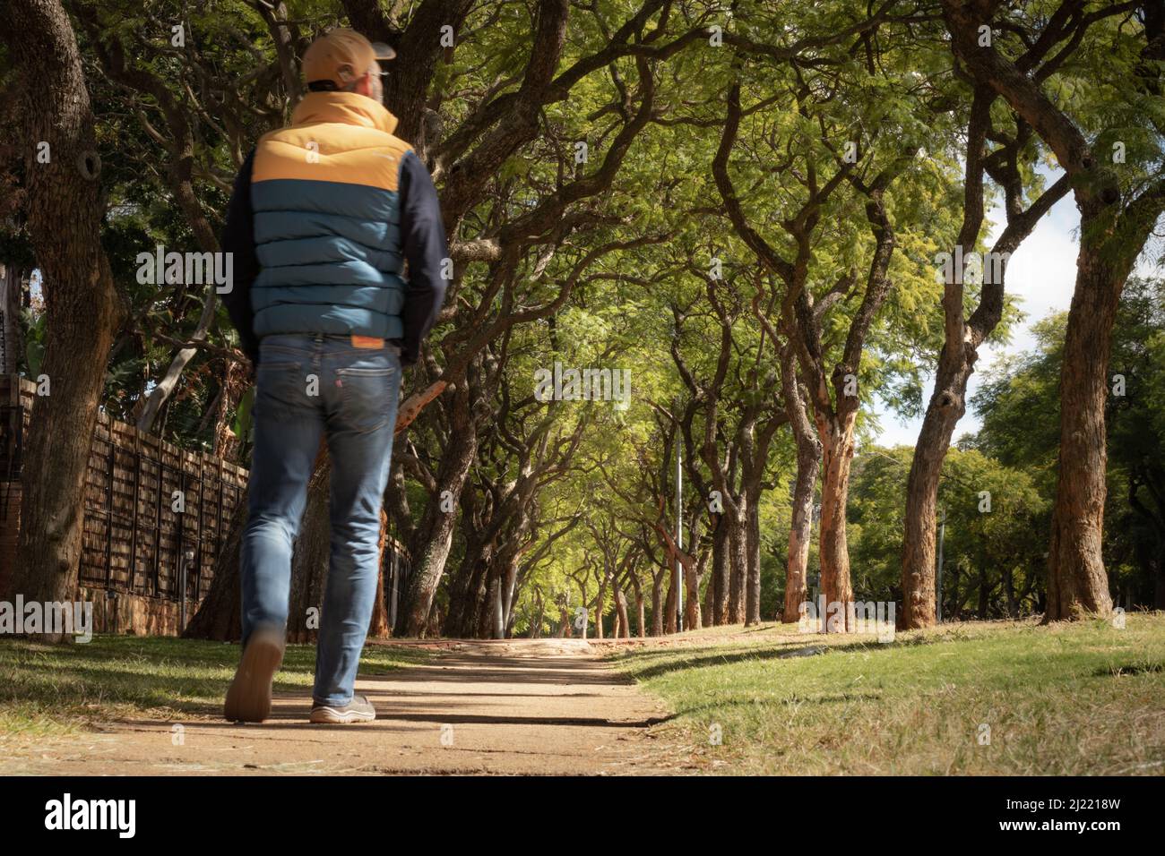 Going for a relaxing walk on a scenic path through old trees Stock ...