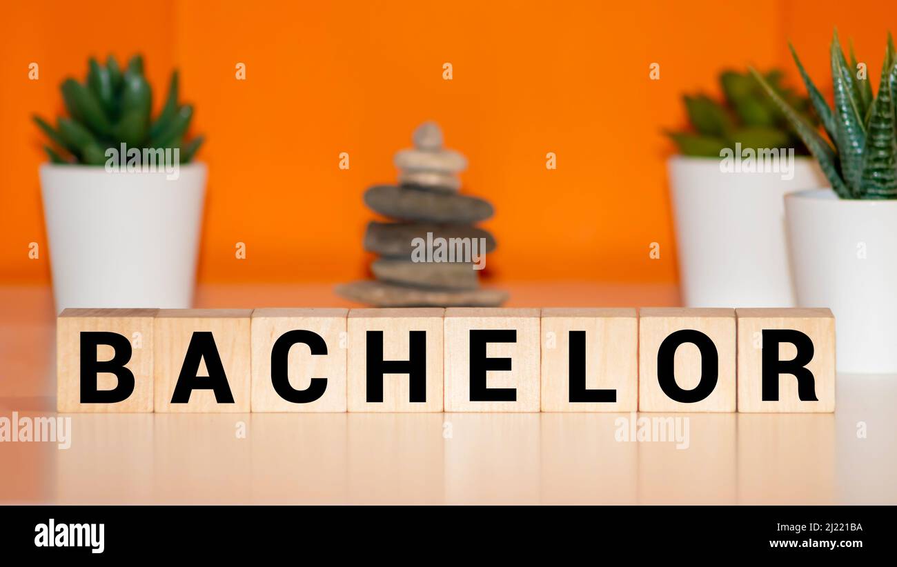 BACHELOR word written on wood block, concept Stock Photo - Alamy