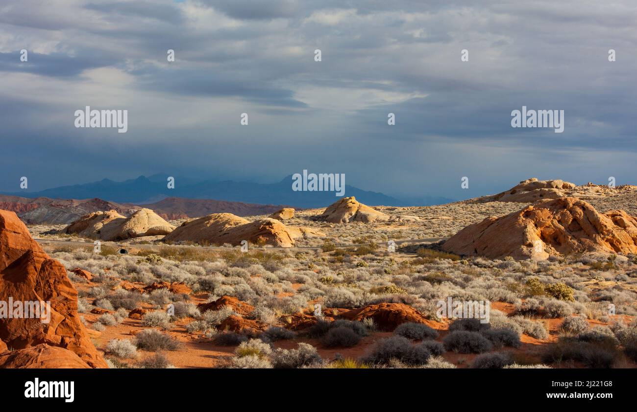 A landscape of a rocky mountain desert with dry bushes and big rocks ...