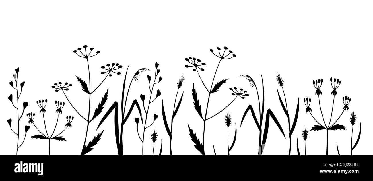 Wild grass silhouettes on white background. Vector illustration Stock ...