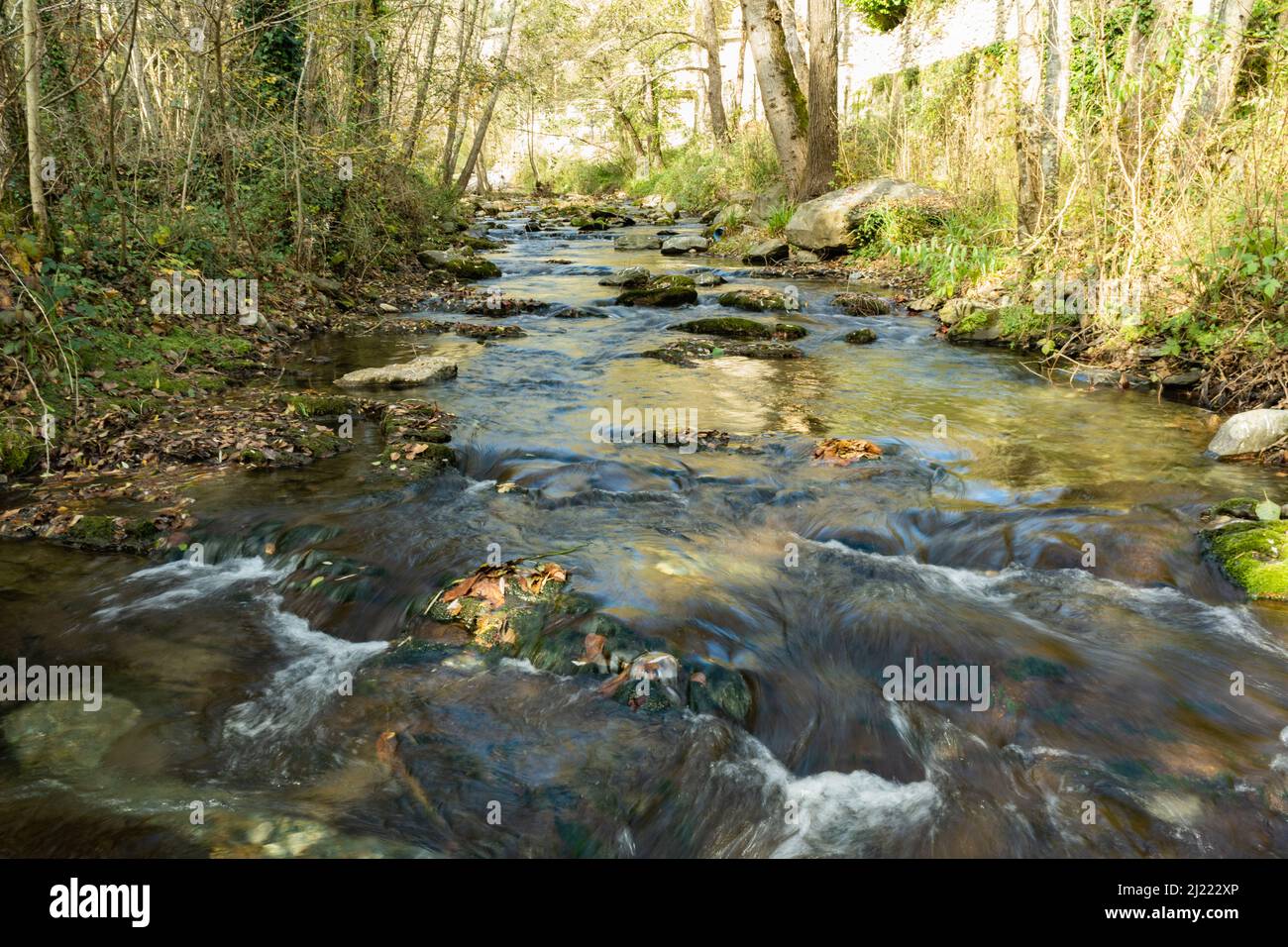Spring forest river landscape.Beautiful view relaxing river landscape ...