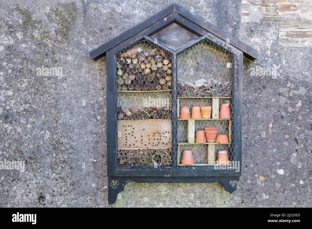 Large wall-mounted bug or insect hotel in Devon Stock Photo - Alamy