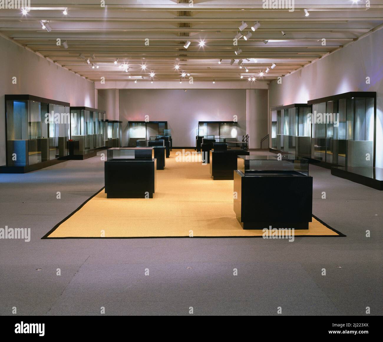 Gallery space and podiums, an empty art gallery with exhibition cases ...
