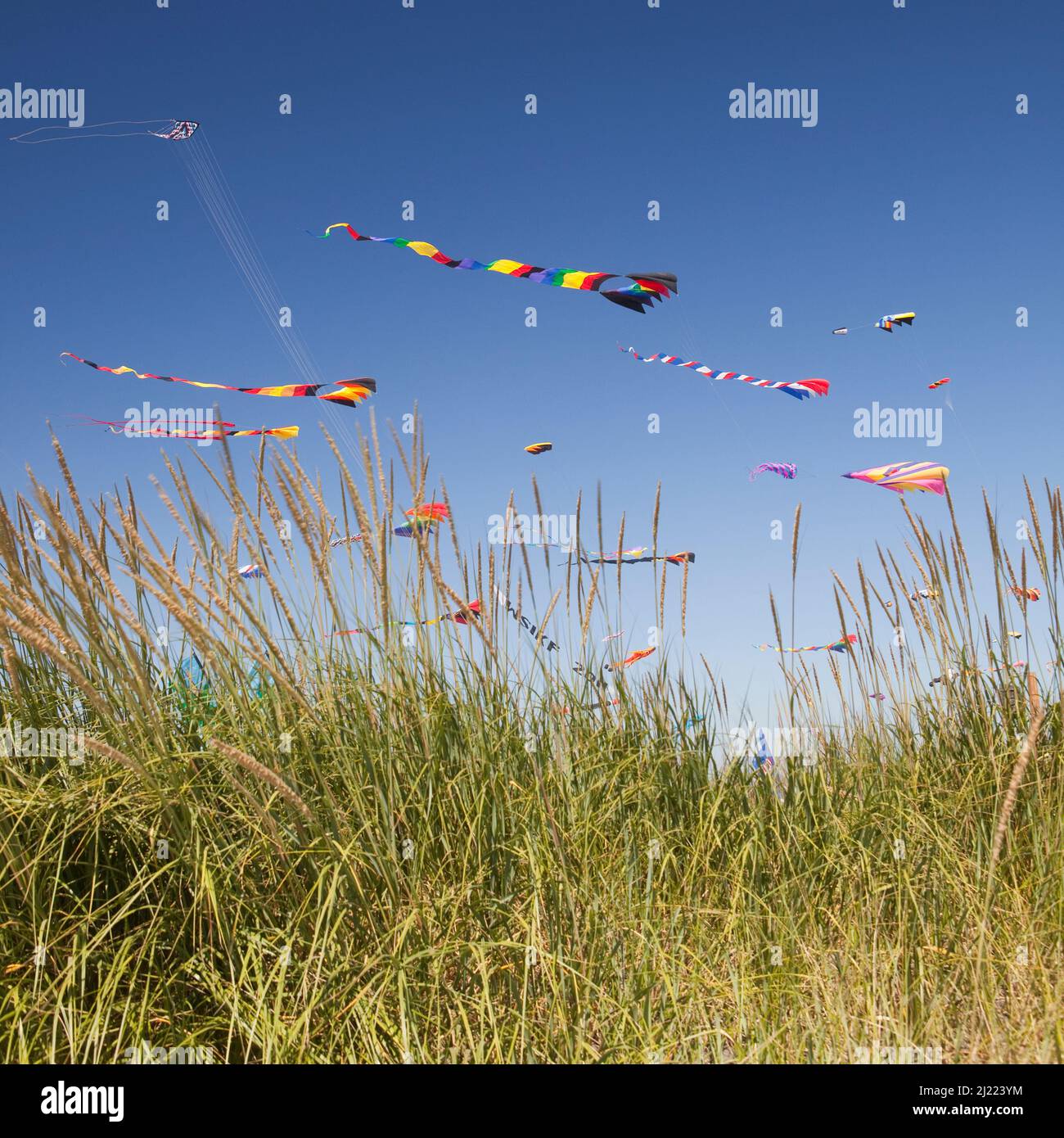 Colorful kites flying in a breeze Stock Photo - Alamy