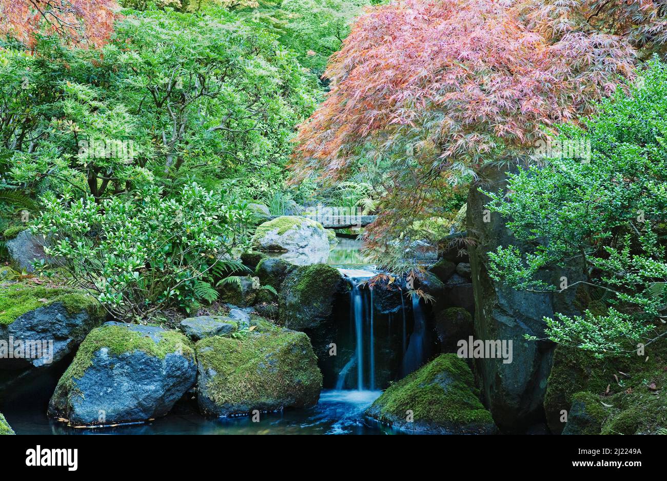 Waterfall and Bridge in Japanese Garden Stock Photo - Alamy