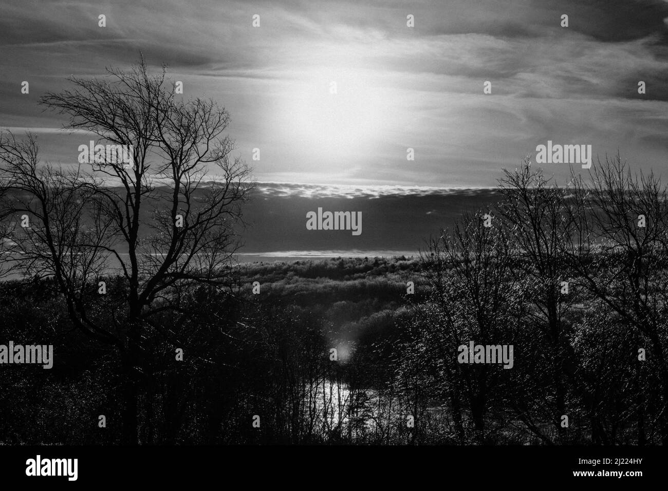 A grayscale of a river running through a forest Stock Photo - Alamy