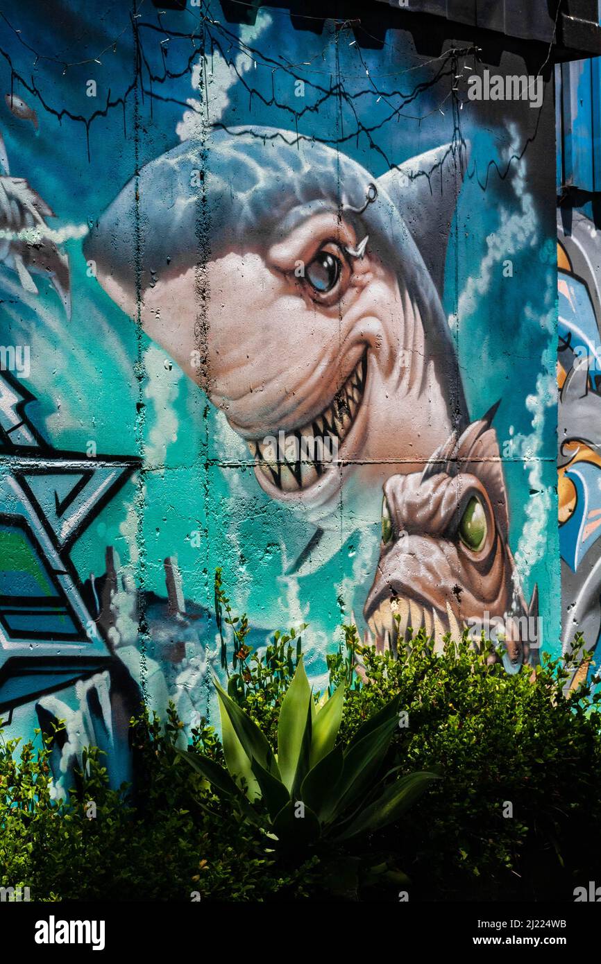 Sharks art hi-res stock photography and images - Alamy