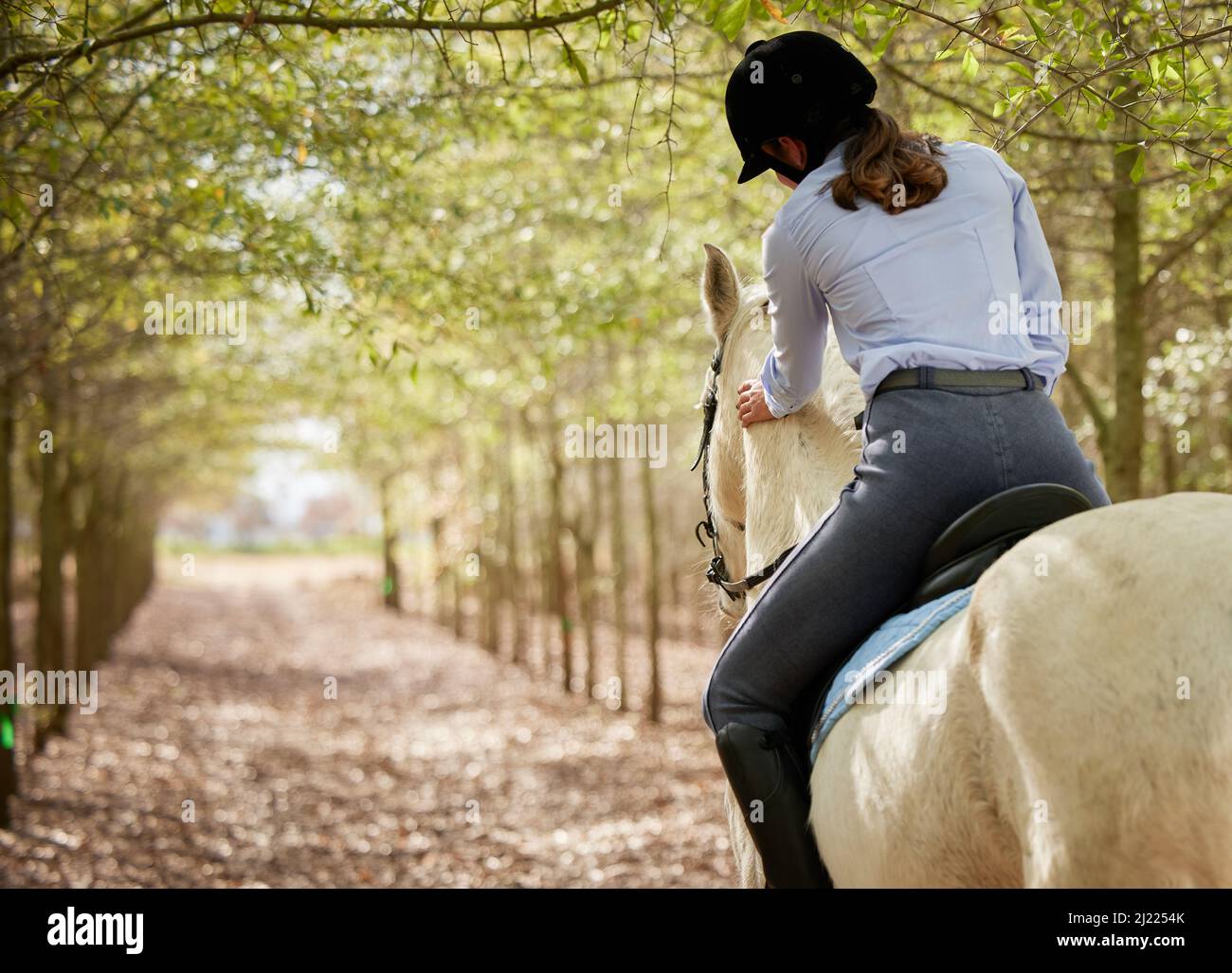 Woman looking through legs hi-res stock photography and images - Alamy