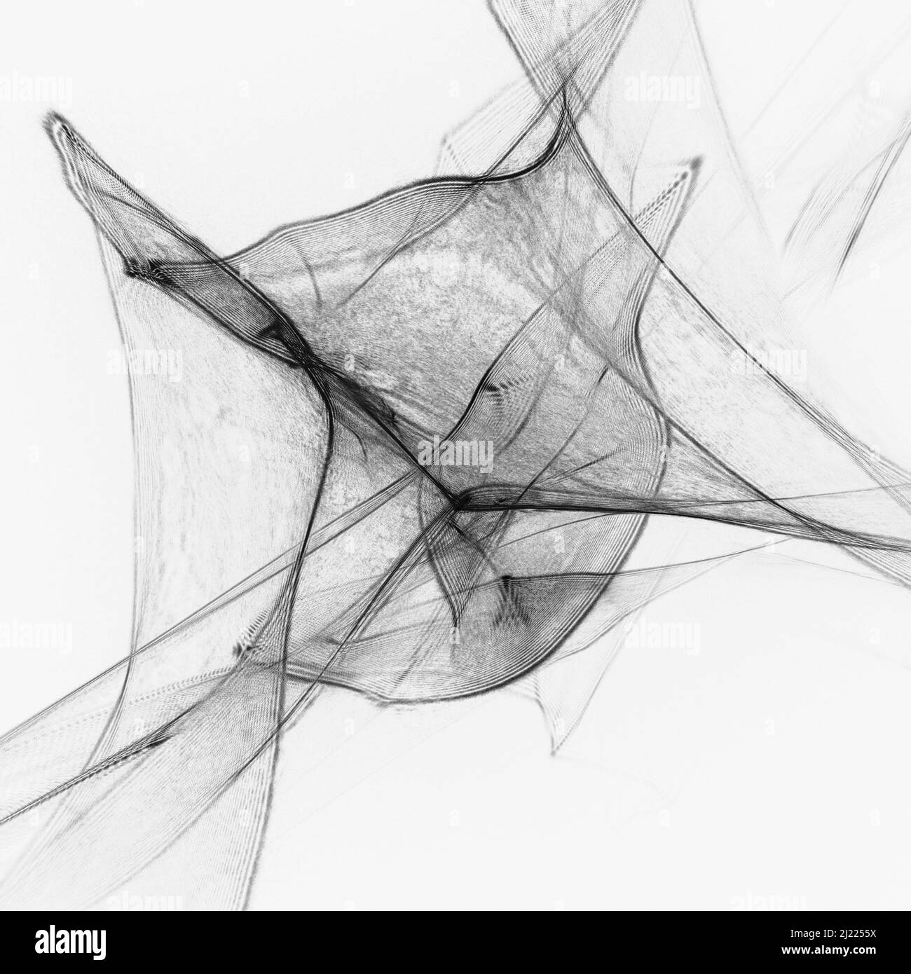 Blue laser image Black and White Stock Photos & Images - Alamy