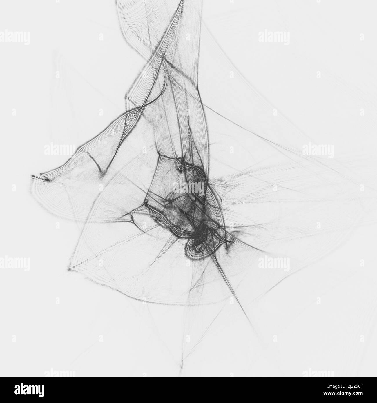 Blue laser image Black and White Stock Photos & Images - Alamy