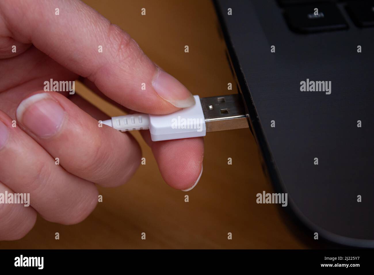 Laptop plugging usb hi-res stock photography and images - Alamy