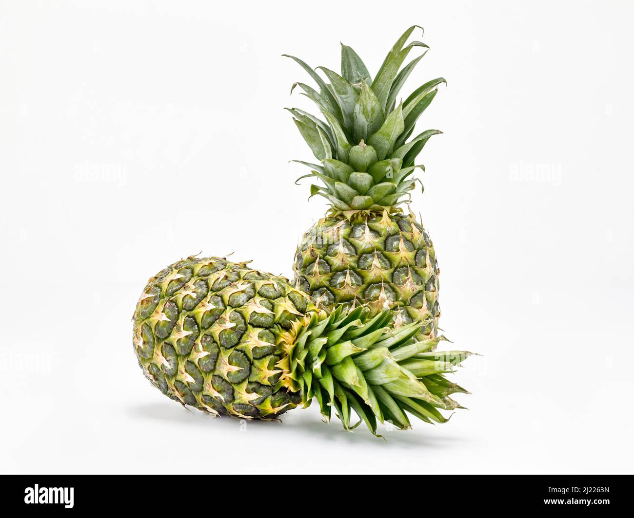 Two Pineapples on a white background Stock Photo - Alamy