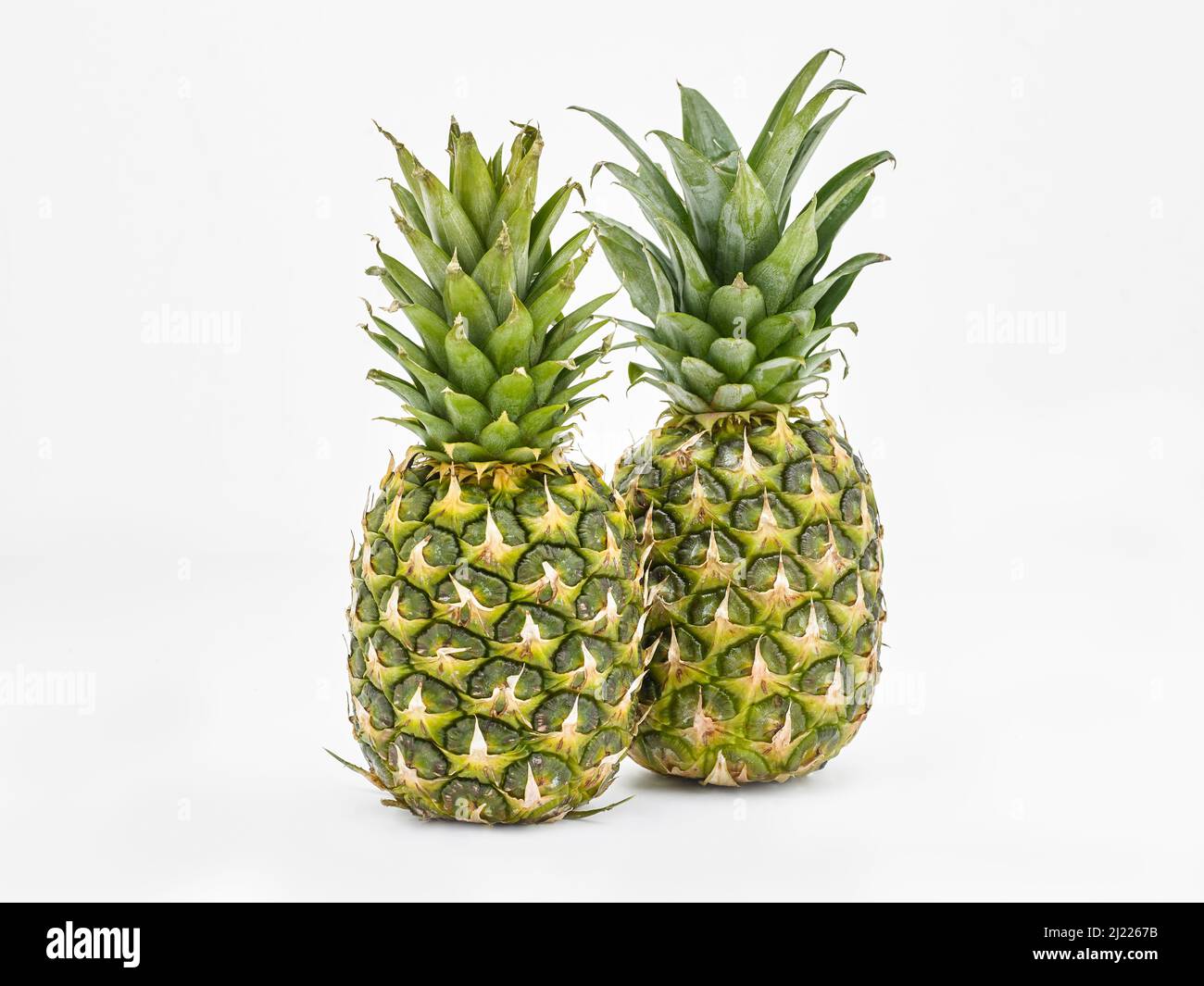 Two Pineapples standing up on a white background Stock Photo - Alamy