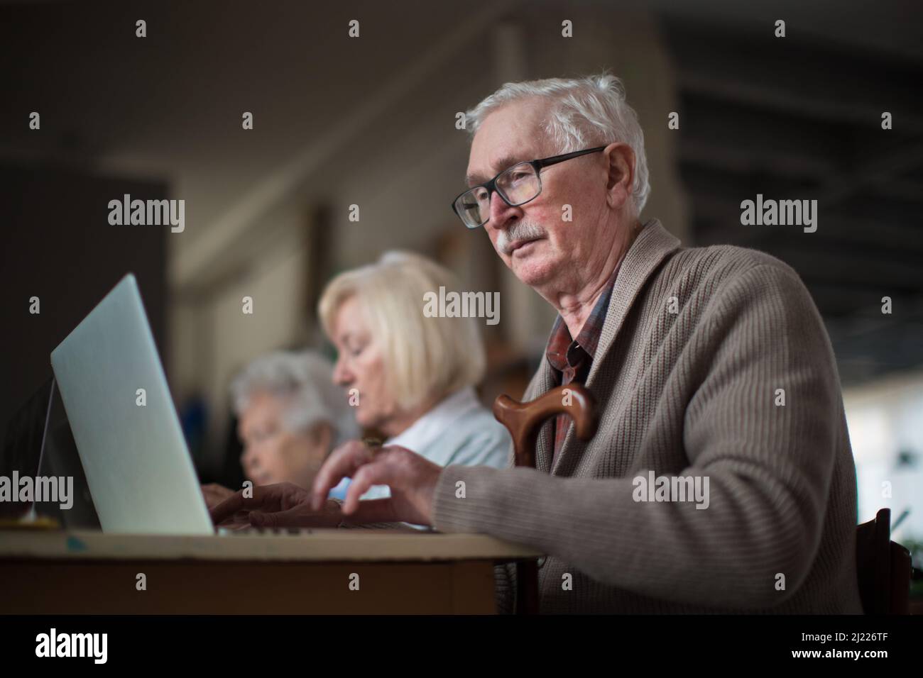 Senior group in retirement home learning together in computer class ...
