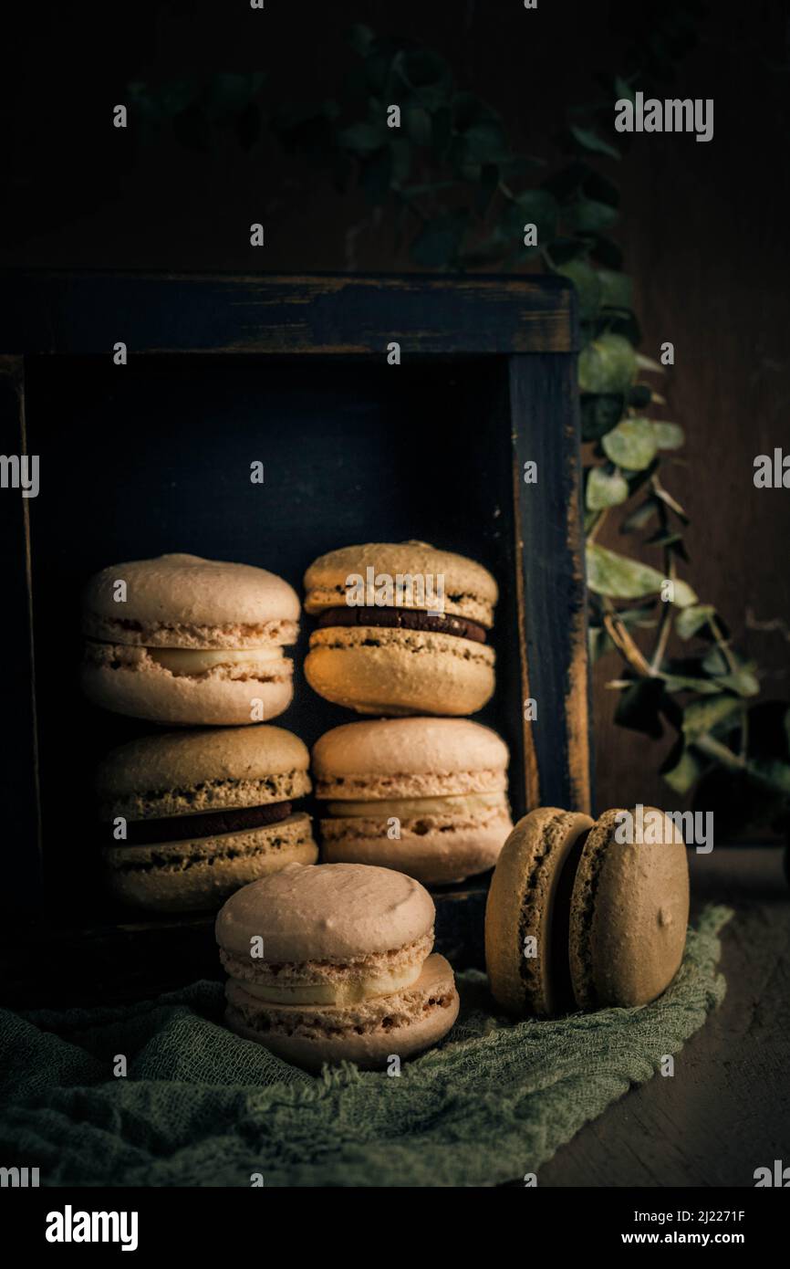 Tan macarons hi-res stock photography and images - Alamy