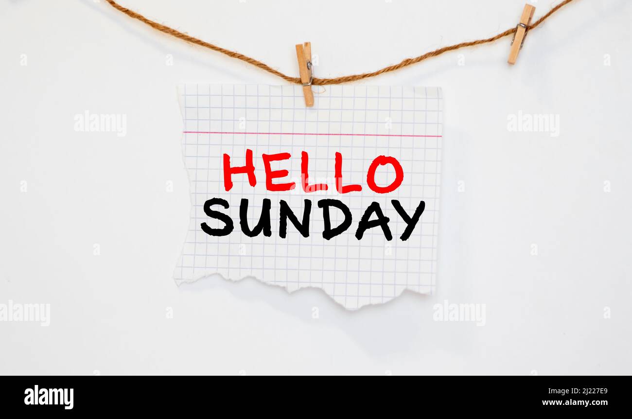 Hello Sunday - text on a display lightbox with flowers carnations on ...