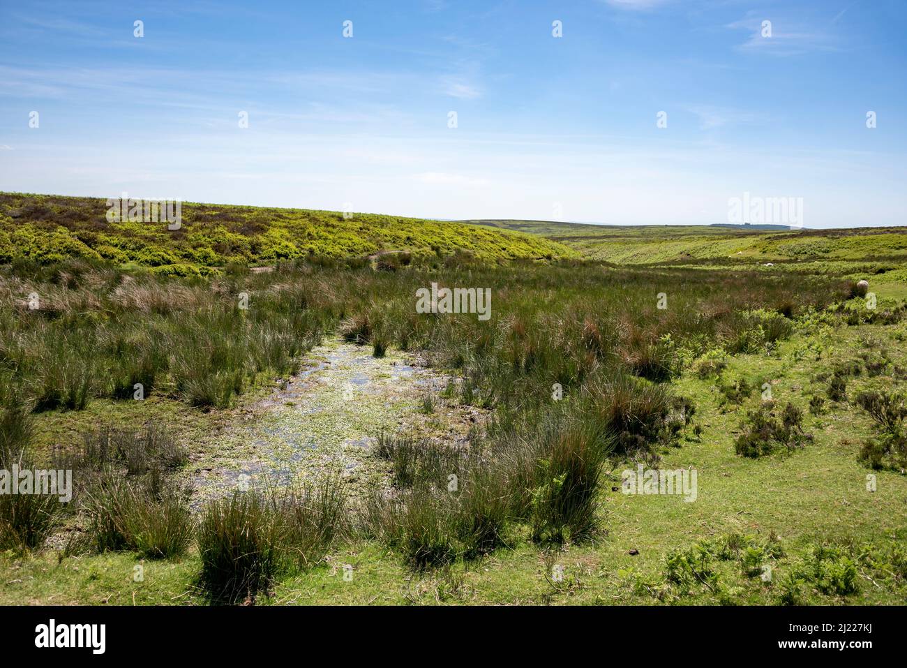 Long mynd shropshire moorland plateau hi-res stock photography and ...