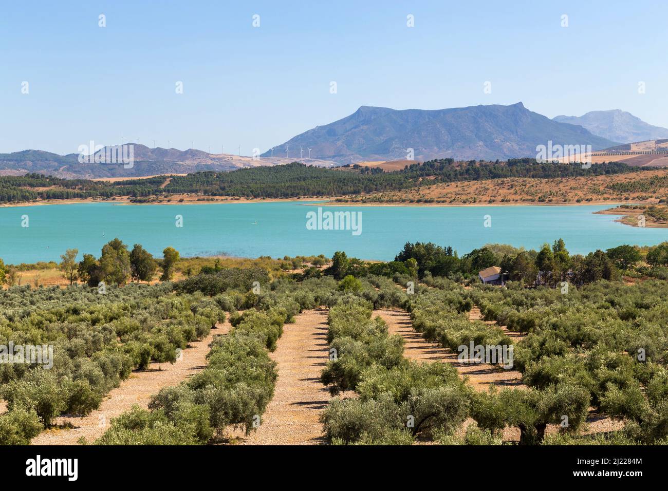 Blue lake in Zahara de la Sierra in Sierra de Grazalema natural park ...