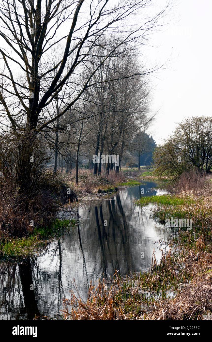 Spring-time view looking along the Little Stour towards Littlebourne ...