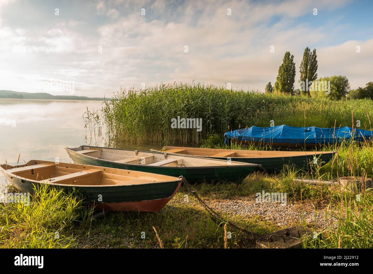Boats on the shore of Lake Constance in morning light Stock Photo - Alamy
