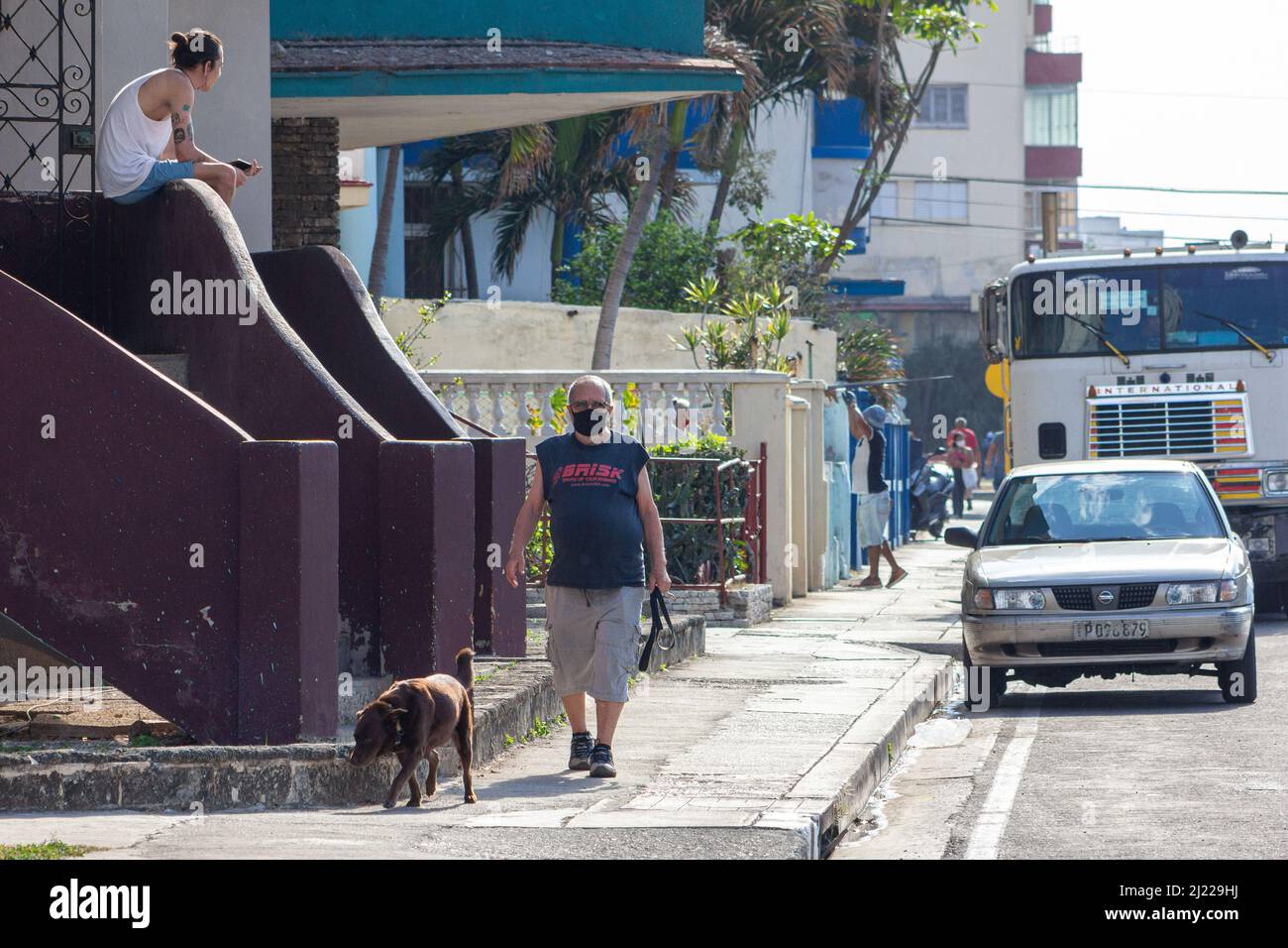 Cuban man with stray dog hi-res stock photography and images - Alamy