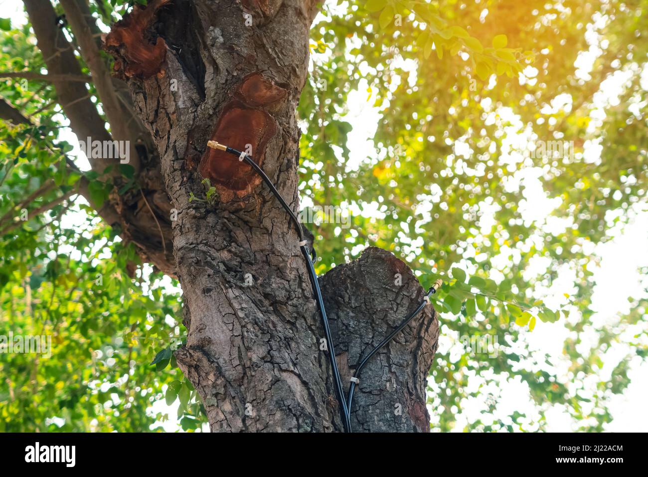 Brass Mist Nozzles Or Sprinklers For Spraying Water Spray On Trees