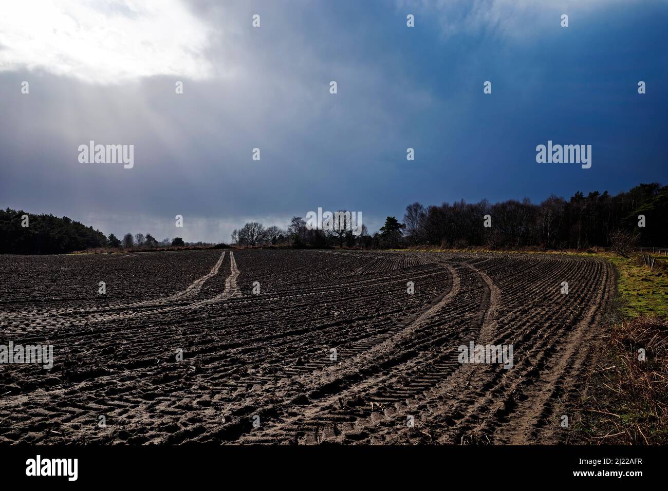 Farmland Sutton Heath Suffolk UK Stock Photo - Alamy