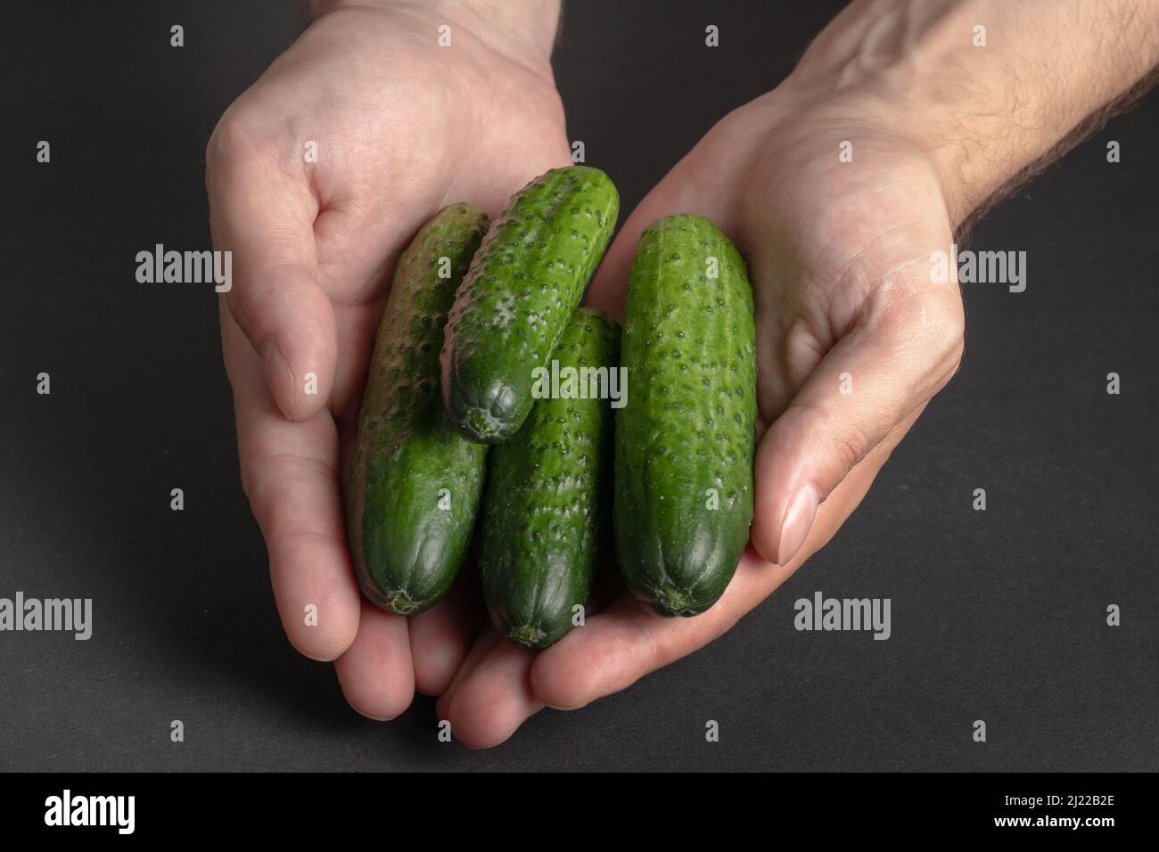 Cucumbers in hand hi-res stock photography and images - Alamy