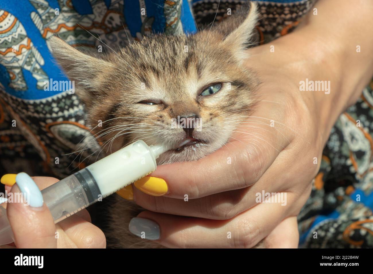 Hand feeding with a syringe hi-res stock photography and images - Alamy