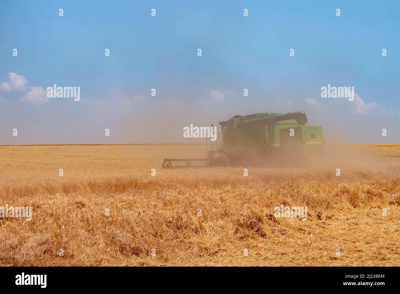 Harvester machine to harvest wheat field working. Combine harvester ...