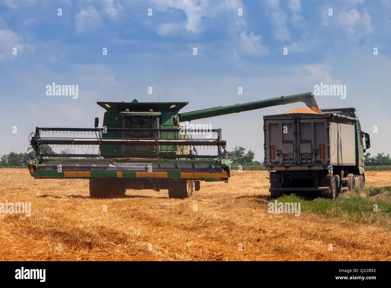 Combine harvester in action on wheat field, unloading grains Stock ...