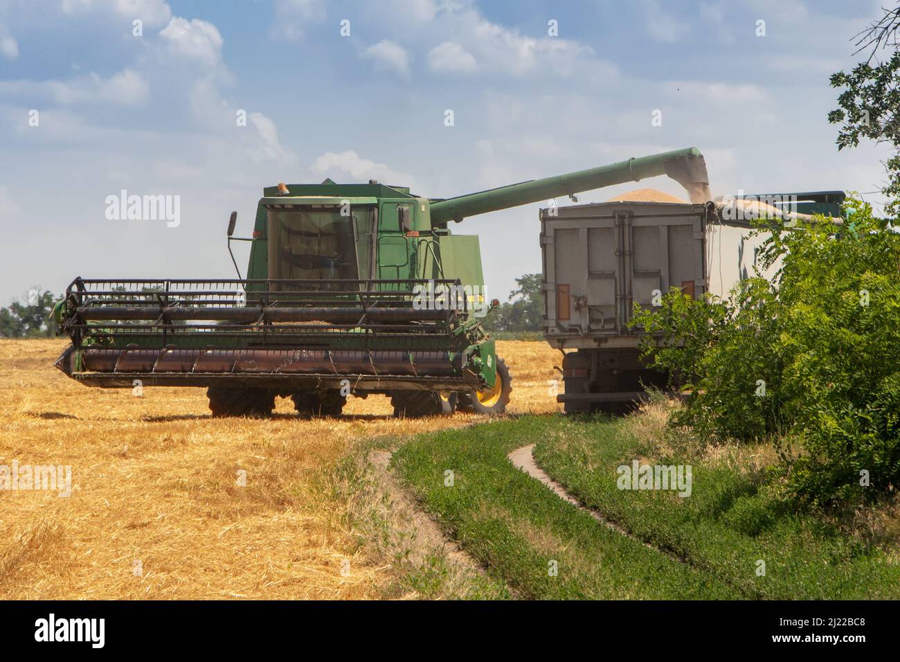 Combine harvester in action on wheat field, unloading grains Stock ...