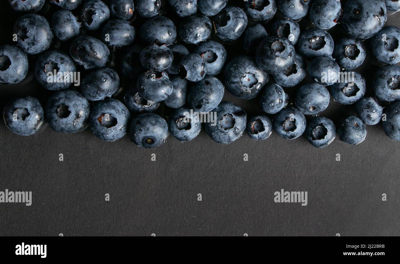Blueberries background. Blueberry border design. Ripe and juicy fresh ...
