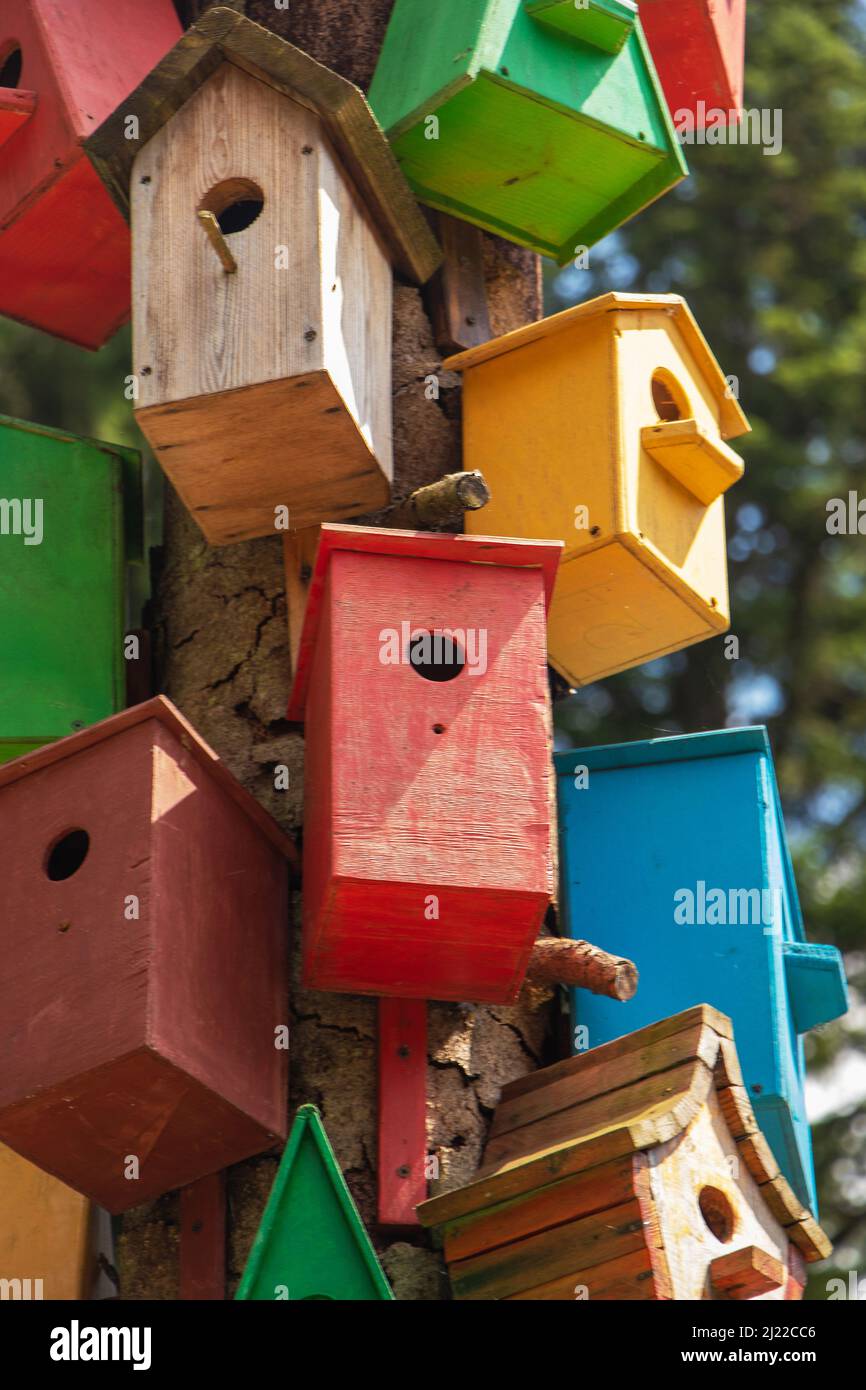 Collection of colorful wooden birdhouses Stock Photo - Alamy