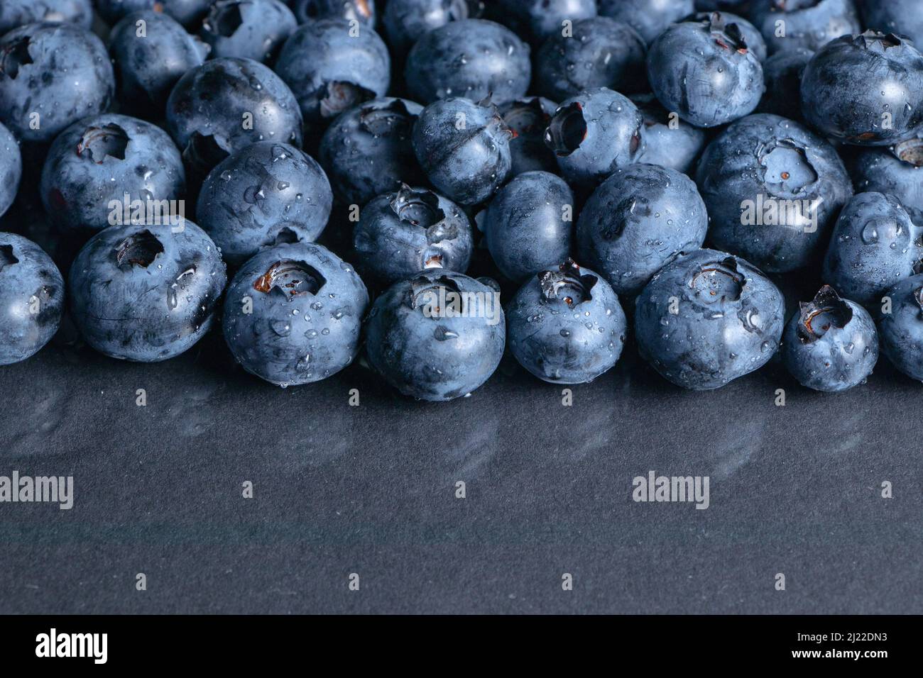 Blueberries background. Blueberry border design. Ripe and juicy fresh ...