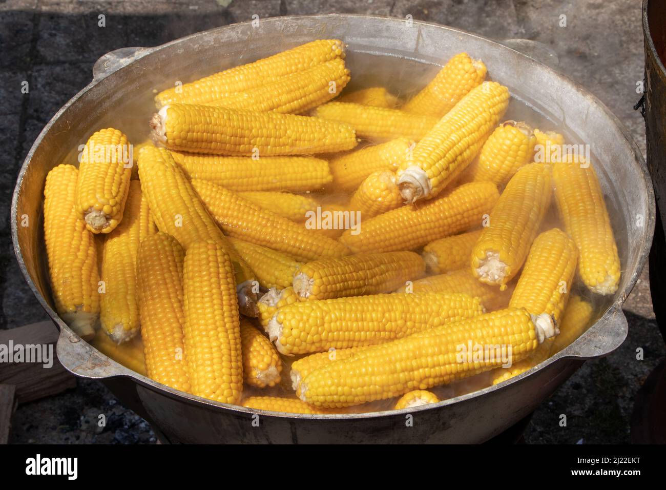 Yellow corn cobs boiling hi-res stock photography and images - Alamy