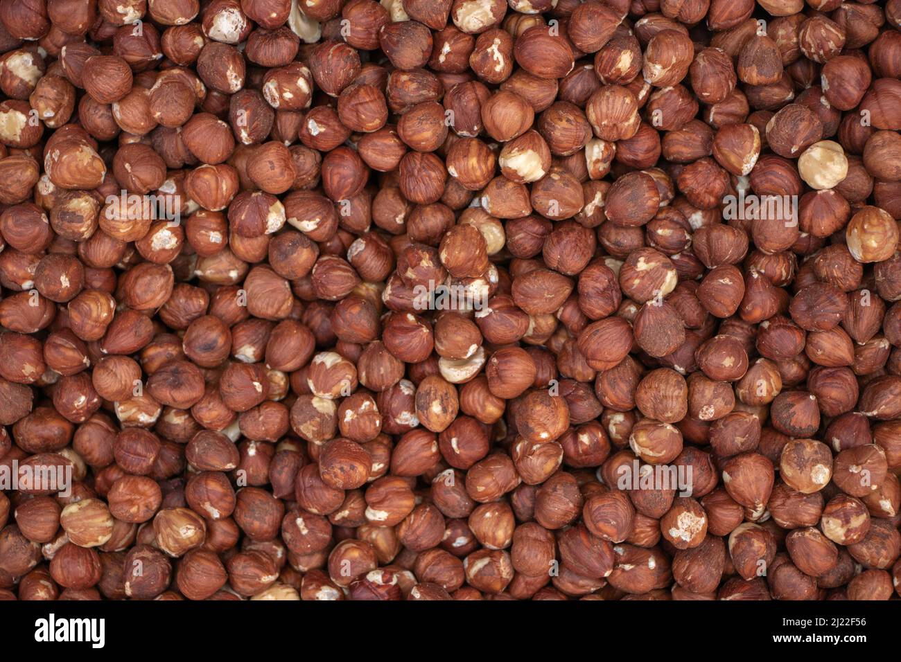 Hazelnut Background. Heap of peeled hazelnuts Stock Photo - Alamy